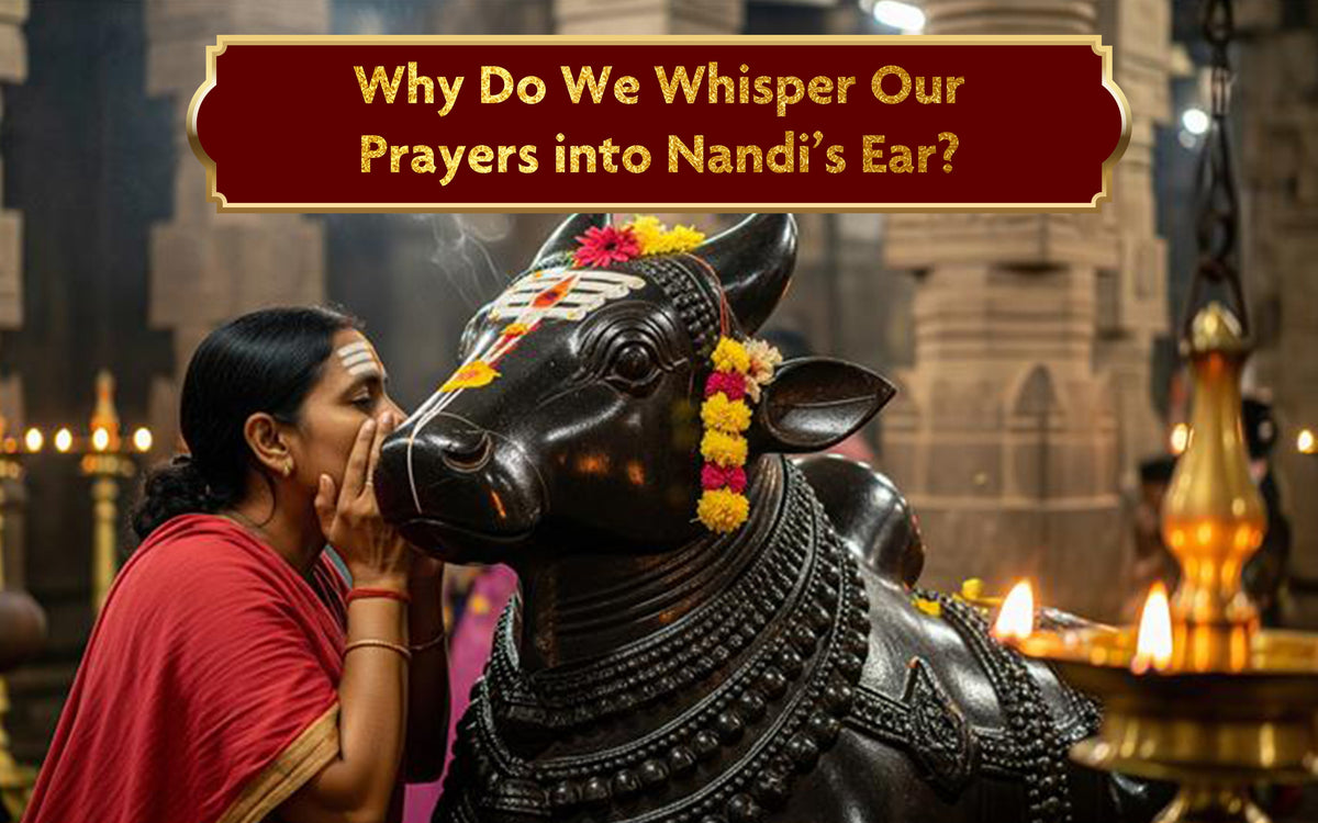 Why Do We Whisper Our Prayers into Nandi’s Ear Before Worshipping Lord ...