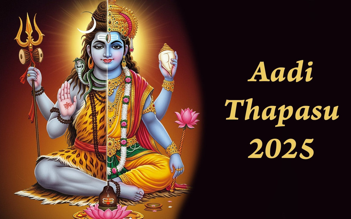 Aadi Thapasu 2025: The Divine Darshan of Shankara Narayanar at Sankara ...