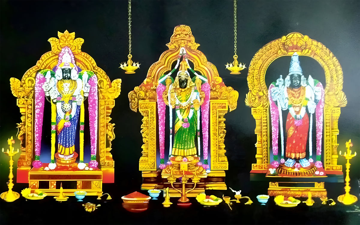 Three Powerful Amman Temples: Thiruvudai, Vadivudai and Kodiyidai Amma ...